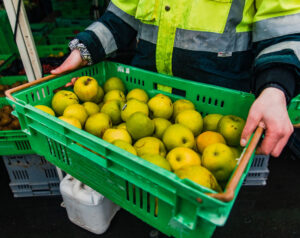 AFRA Aotearoa Food Rescue Alliance | New Zealand